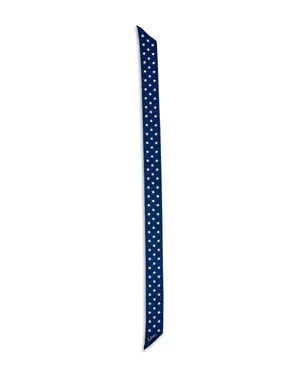 Echo Stars & Stripes Silk Skinny Scarf