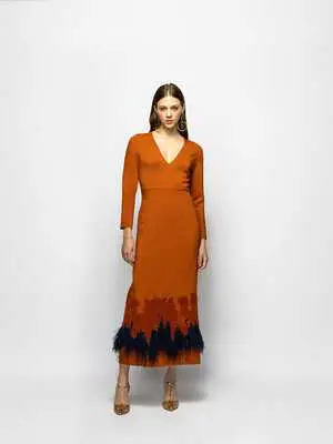 PAULA S Choice Sakura Cinnamon Stick Embroidered Long-sleeved Maxi Dress With Feathers