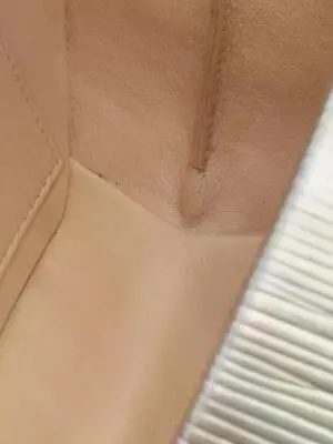 LOUIS VUITTON Epi Petite Boite Chapeau Satchel