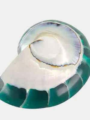JULIETTA Nautilus Shell Clip-on Earrings - Green