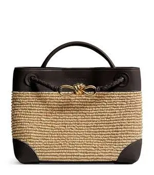Bottega Veneta Small Raffia Andiamo Top-handle Bag
