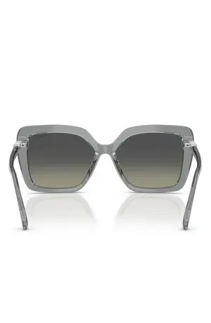 SWAROVSKI Butterfly Silhouette Sunglasses - Transparent Grey/grey