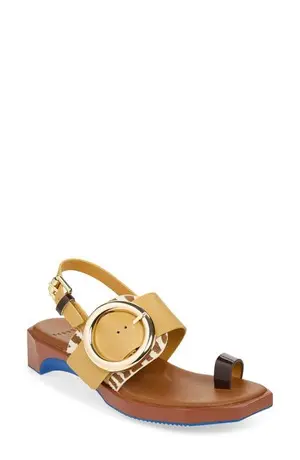 4ccccees Buckled Shoes For Women
