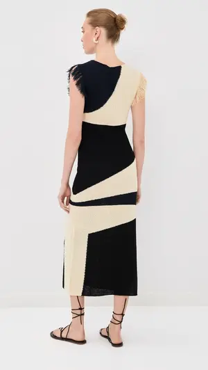 Proenza Schouler Saskia Knit Midi Dress With Fringe Trim