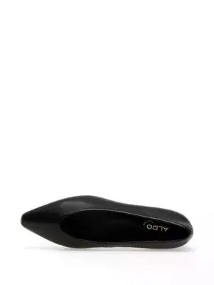 Aldo Zolita Pointed-toe Ballet Flats