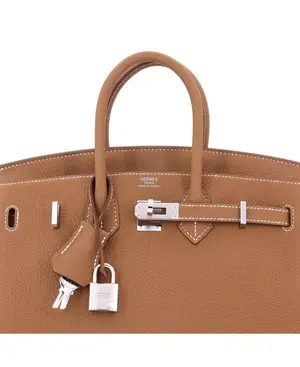Hermès Birkin 25 Handbag Brown Togo With Palladium Hardware - Gold