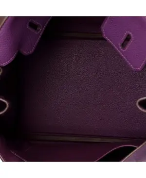 Hermès Birkin 25 Handbag Purple Togo With Palladium Hardware - Anemone