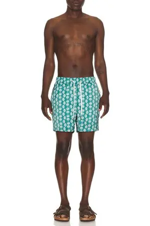 Onia Charles 5" Swim Trunk With Stripes - Aloe Multi
