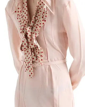 Prada Embroidered Marocain Dress