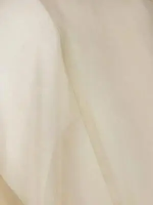 Alberta Ferretti Sheer Silk Blouse