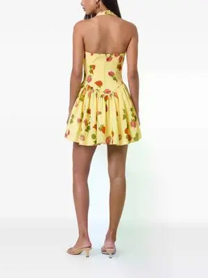 NICHOLAS Amalie Floral-print Halterneck Dress