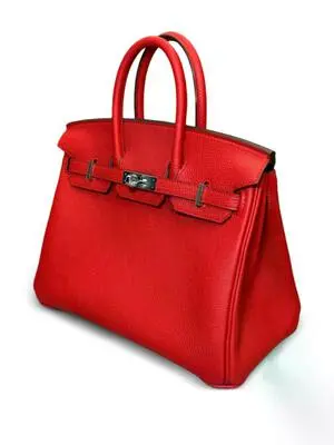 Hermès Birkin 25 Togo Handbag