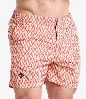 Tagliatore Geometric Print Technical Fabric Swim Shorts - Brown