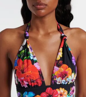 Dolce & Gabbana Halterneck Floral Print One-piece Swimsuit