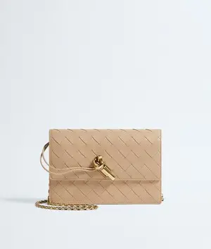 Bottega Veneta Andiamo Pouch On Chain
