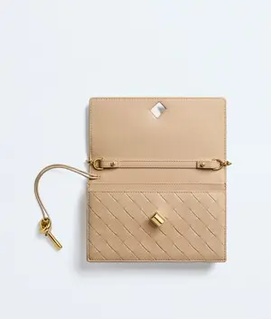 Bottega Veneta Andiamo Pouch On Chain