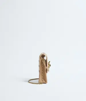 Bottega Veneta Andiamo Pouch On Chain