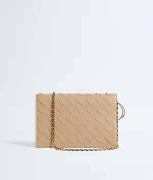 Bottega Veneta Andiamo Pouch On Chain