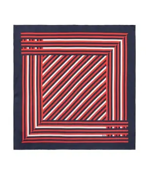 Echo Stripes Silk Scarf - Navy