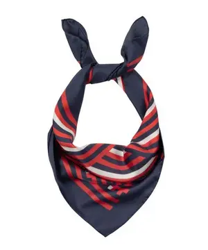 Echo Stripes Silk Scarf