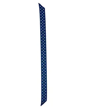 Echo Stars And Stripes Silk Ribbon Scarf