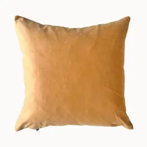 APARTMENT F Reversible Velvet Pillow