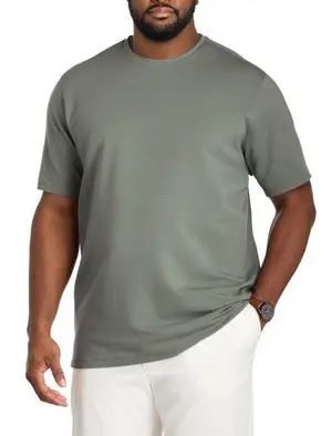 OAK HILL BY DXL Big & Tall Luxury T-shirt - Silver Pine Pd