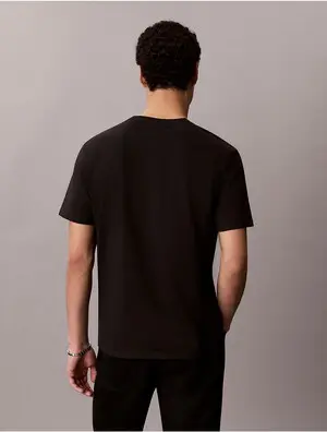 Calvin Klein Standard Logo Graphic Classic T-shirt