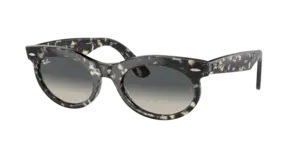 Ray-ban Sunglass Wayfarer Oval - Grey