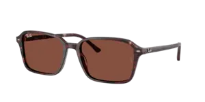 Ray-ban Raimond Sunglasses - Red
