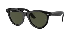 Ray-ban Wayfarer Sunglasses - Green