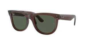 Ray-ban Ray-Ban Wayfarer Reverse Sunglasses Dark Green
