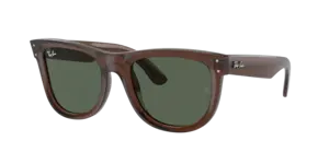 Ray-ban Wayfarer Reverse Sunglasses - Dark Green