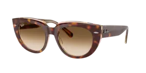 Ray-ban Ray-Ban Doreen Cat Eye Sunglasses Clear Gradient Brown