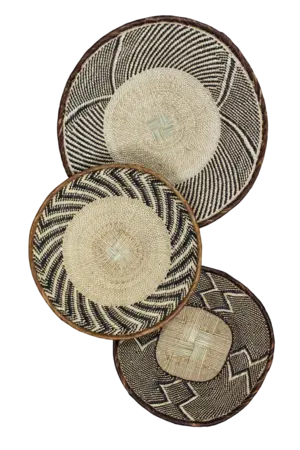 Botanical Boys Neutrals / Tonga Basket Collection Twenty Seven - Brown