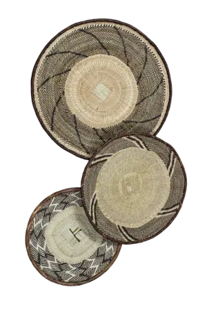 Botanical Boys Neutrals / Tonga Basket Collection Twenty Six - Brown