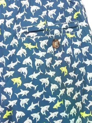 MC2 SAINT BARTH Shark Print Swim Shorts