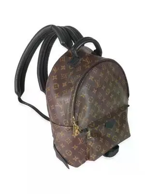 LOUIS VUITTON Palm Springs Backpack - Brown