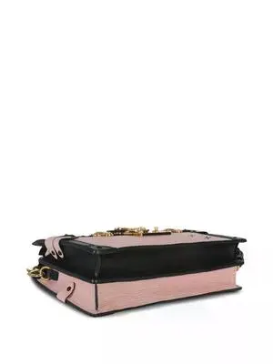 LOUIS VUITTON Epi Trunk Clutch Crossbody Bag