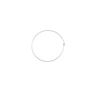 ALEVA' BIJOUX Delicate Choker Necklace - Argento