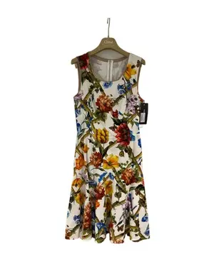 Dolce & Gabbana Sleeveless Printed Dress