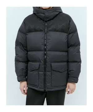 Gucci Zip-up Puffer Jacket With High Collar And Removable Hood