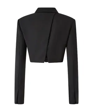 Pinko Cropped Blazer With Notched Lapel