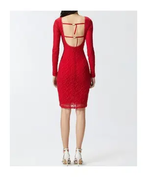 Pinko Aaron Lace Open Back Dress