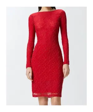 Pinko Aaron Lace Open Back Dress