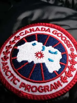 Canada Goose Cypress Hooded Puffer Jacket