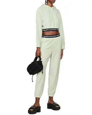 Alexander Wang Fine-ribbed Cropped Hoodie With Logo Waistband - Green