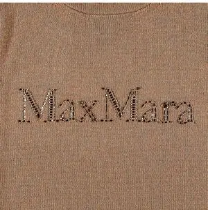 Max Mara Logo Embellished Knitted Hoodie