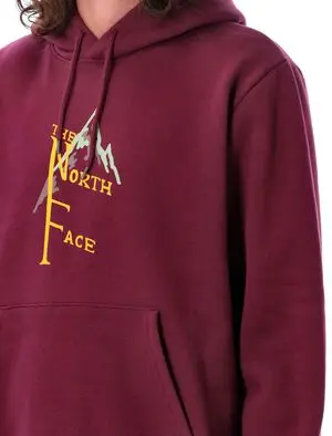 The North Face Printed Logo Drawstring Hoodie