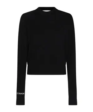 Sportmax Crewneck Long-sleeved Jumper With Logo Detail